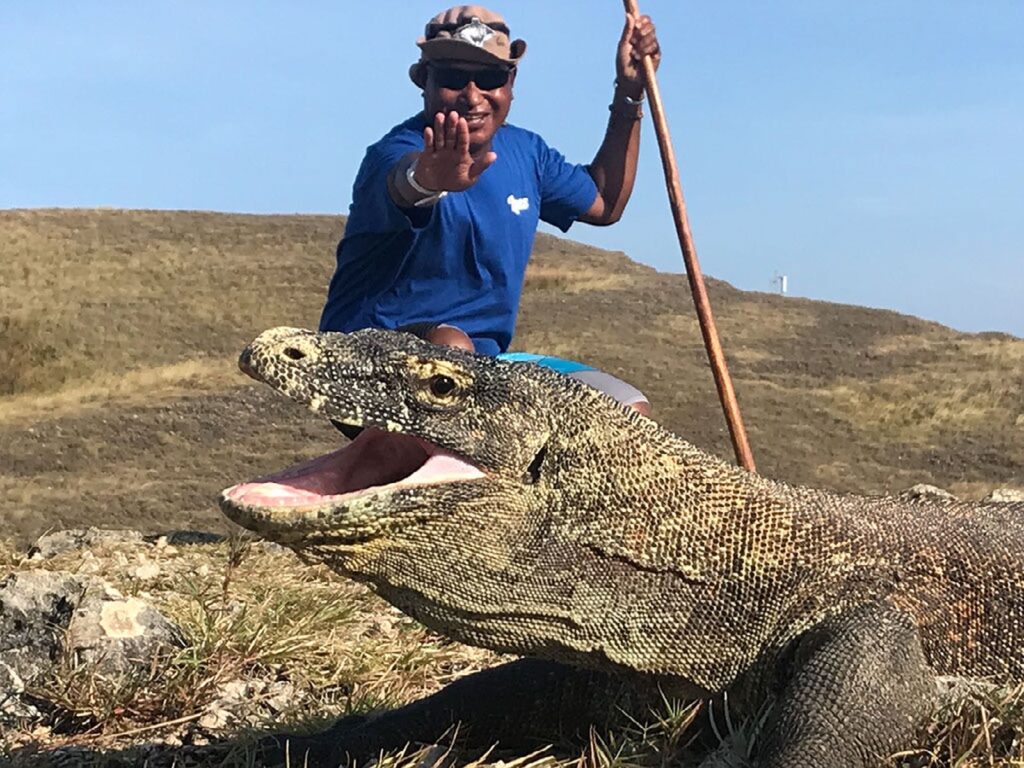 Komodo on a Budget – 05/2025 - Behind the Mask